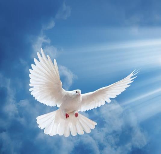 Isabel Peraza Obituary - Miami, FL