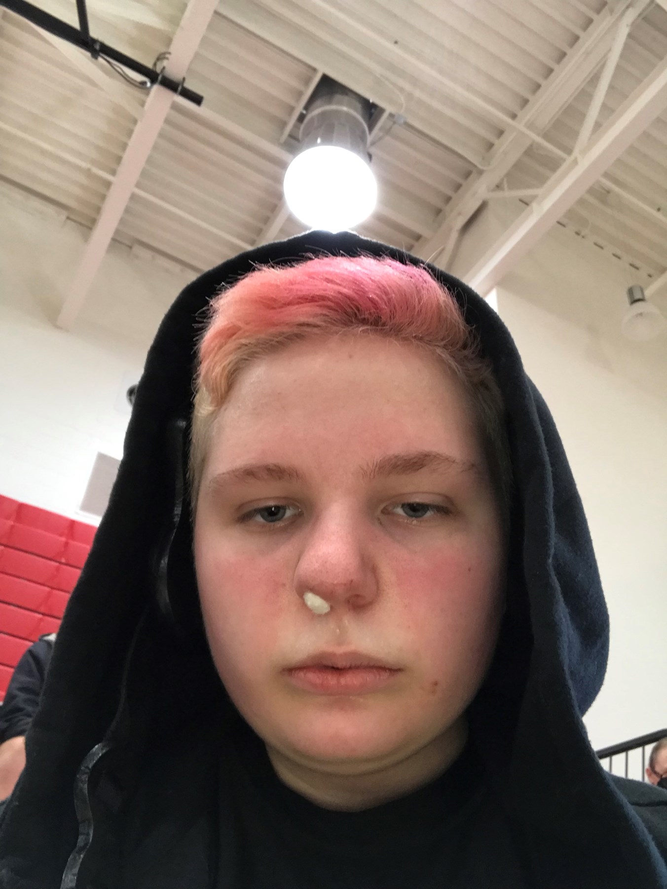 Preston Tyler's Instagram, Twitter & Facebook on IDCrawl