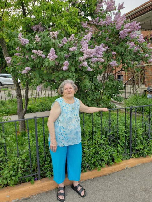 Rita Marrazzo Obituary - Toronto, ON