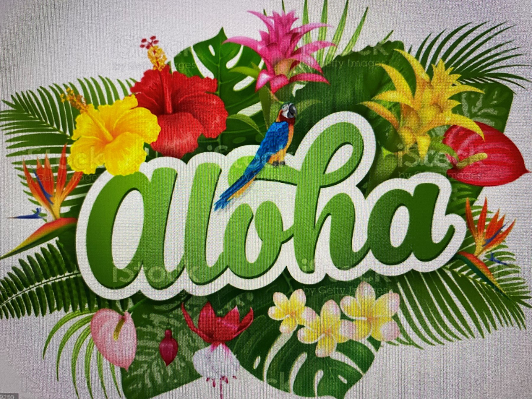 Glen Scott Peterson Obituary - Newhall, CA