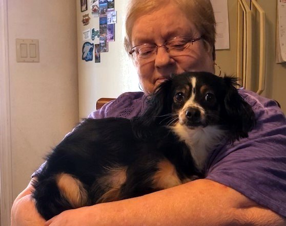 Terry Olson Obituary - Mesa, AZ