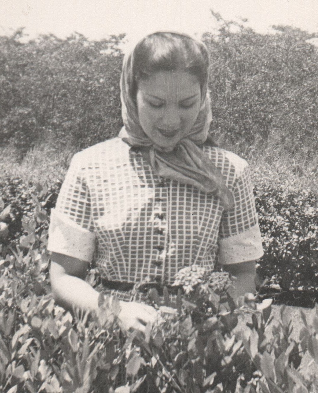 María AvilésRamos Obituary - Bayamon, PR