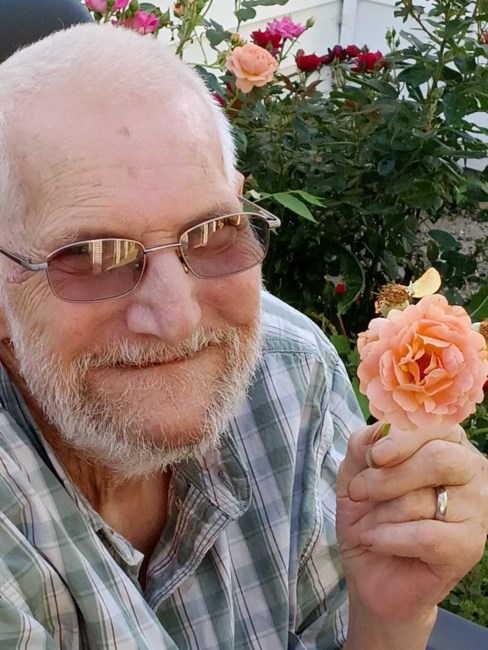 Thomas "Tom" Edward Kosier Obituary - DeWitt, MI