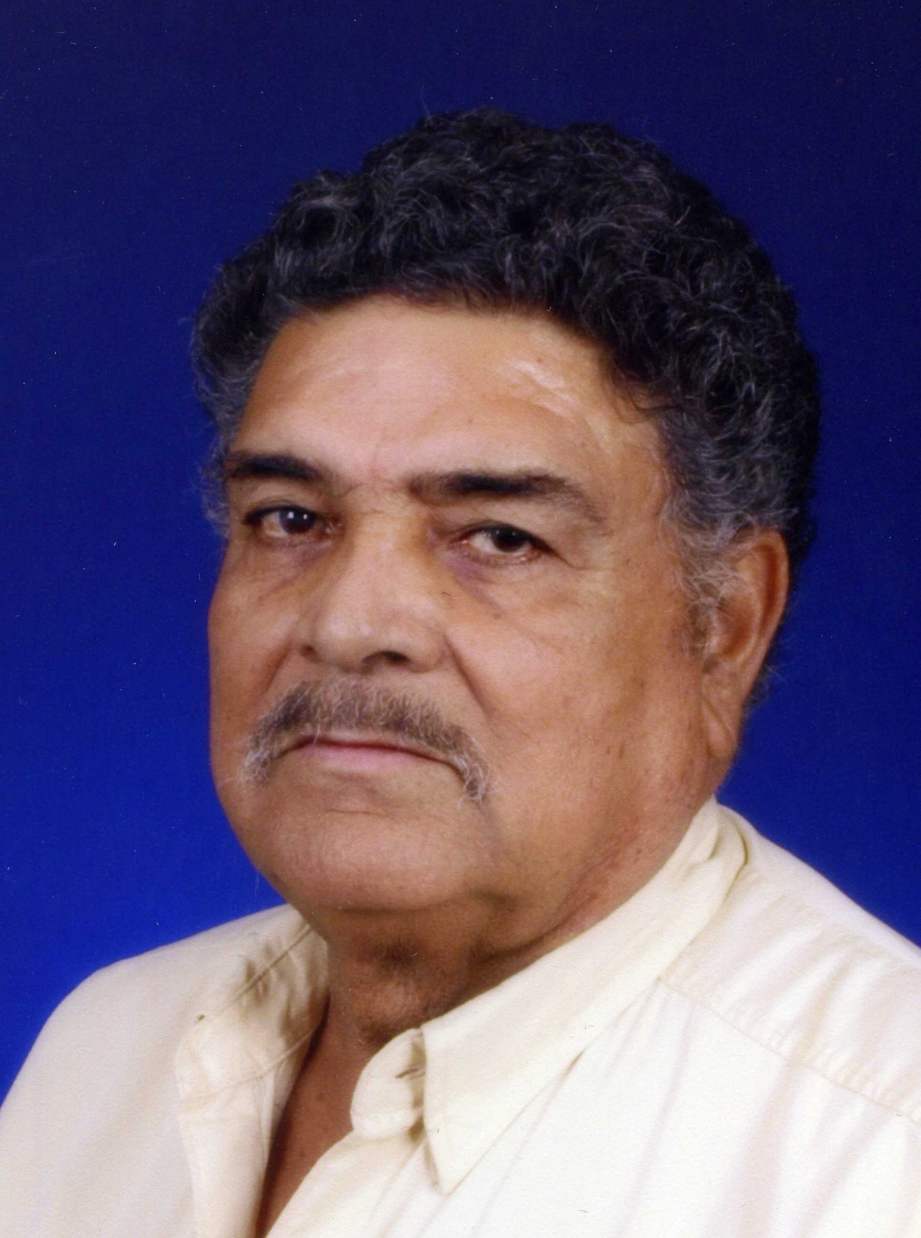 Luis Garibay Obituary - Mission, TX