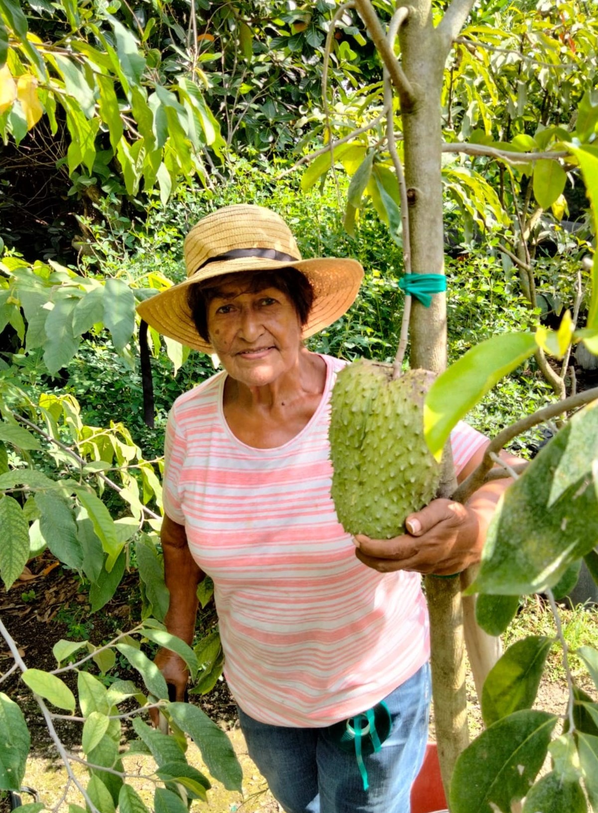 Ms. Maria I De Hoyos Obituary - Naranja, FL