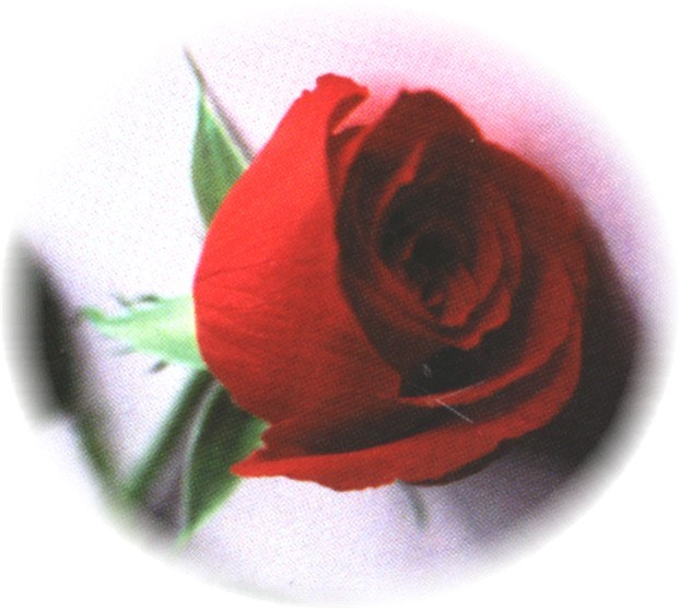 Helen Bello Obituary - Union, NJ