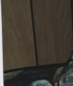 Dorothy Dean Obituary - Richmond, VA Dorothy Dean Obituary - Richmond, VA