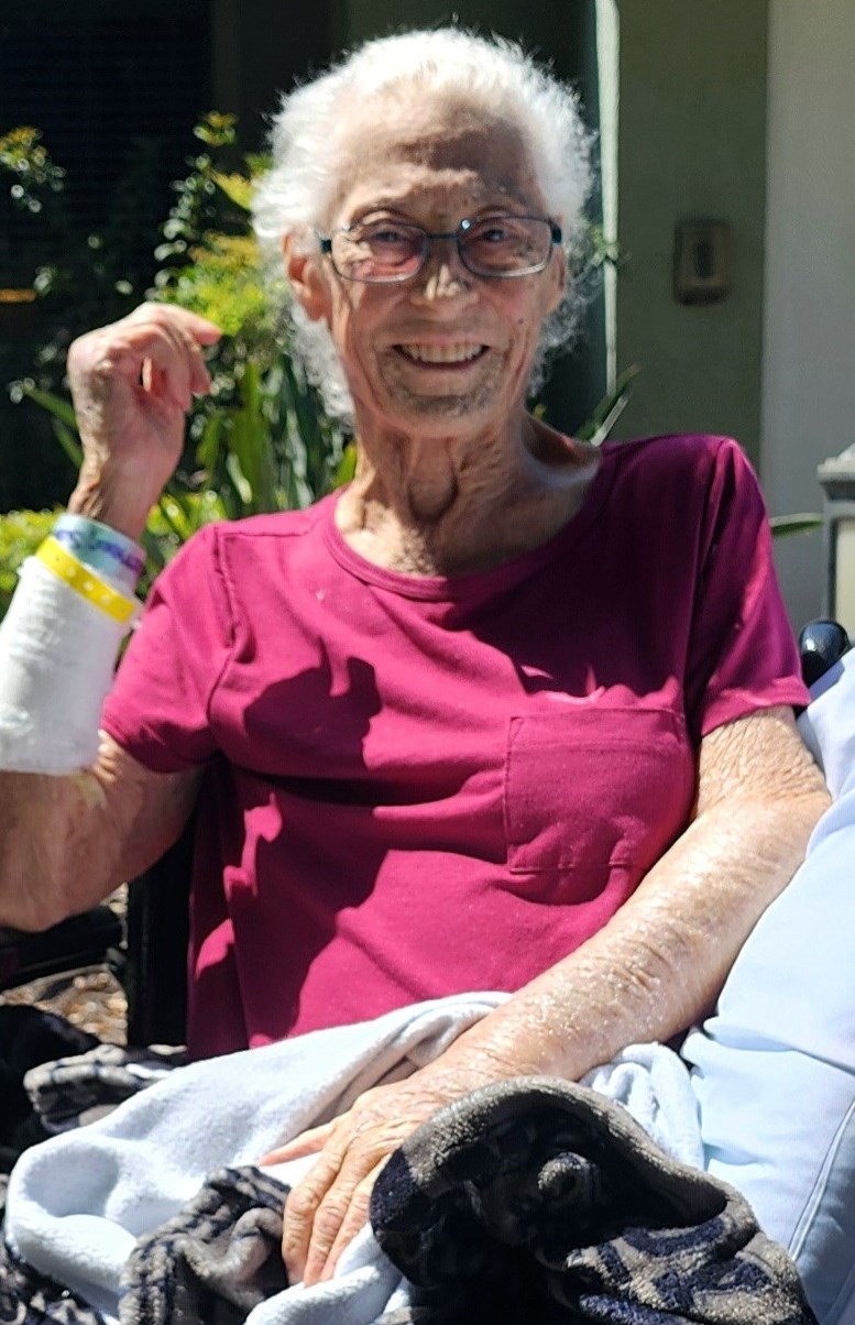 Susan Vandermeer Obituary - Gotha, FL