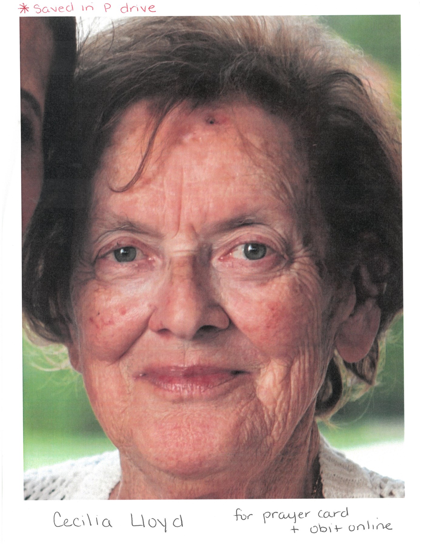 Cecilia Lloyd Obituary - New Bedford, MA
