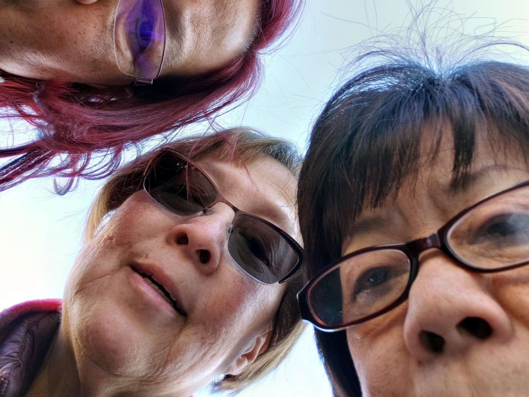 Donna Wong's Instagram, Twitter & Facebook on IDCrawl