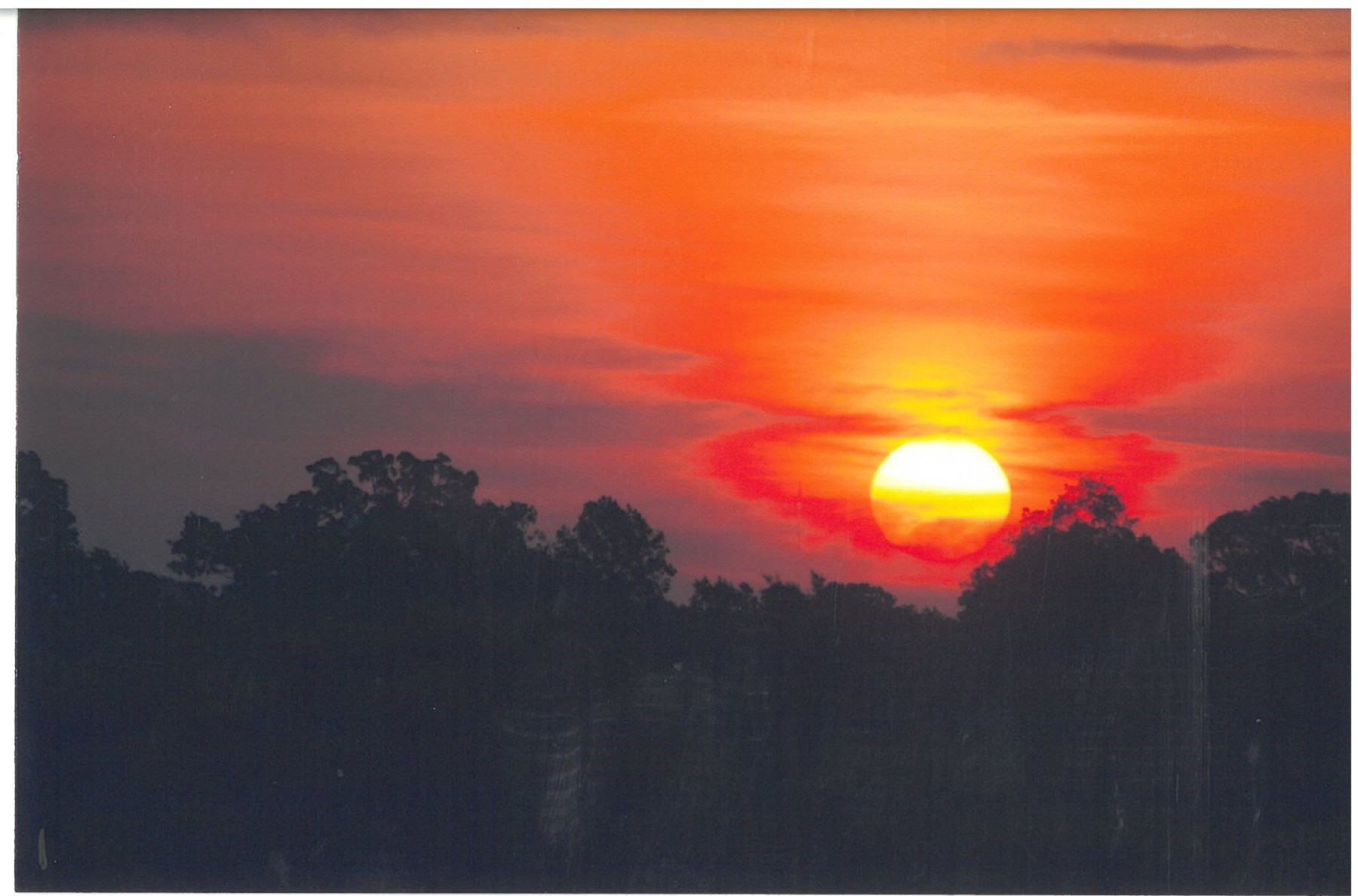Alice Wingo Obituary - Sarasota, FL