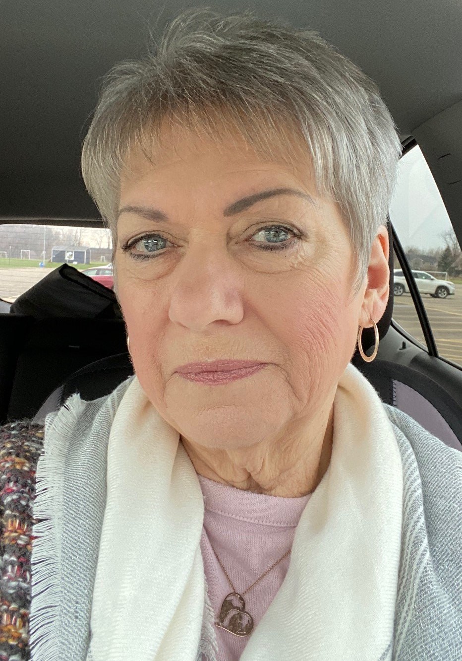 Diane Mosier Obituary - DeWitt, MI