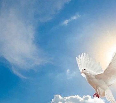 Paula Salinas Obituary - Brownsville, TX Paula Salinas Obituary - Brownsville, TX
