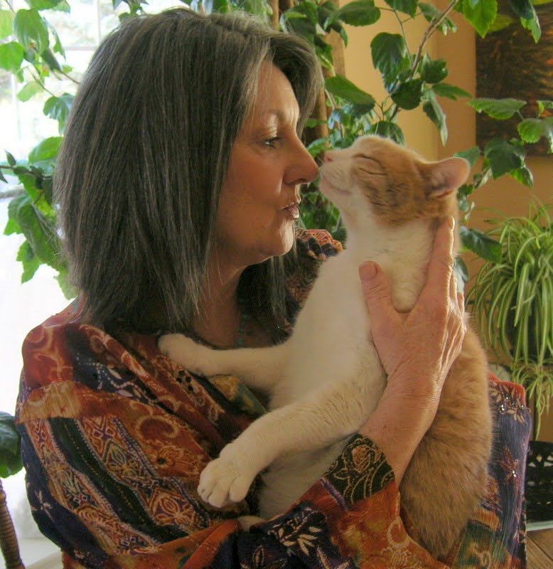 Jill Cutler Obituary - Longmont, CO