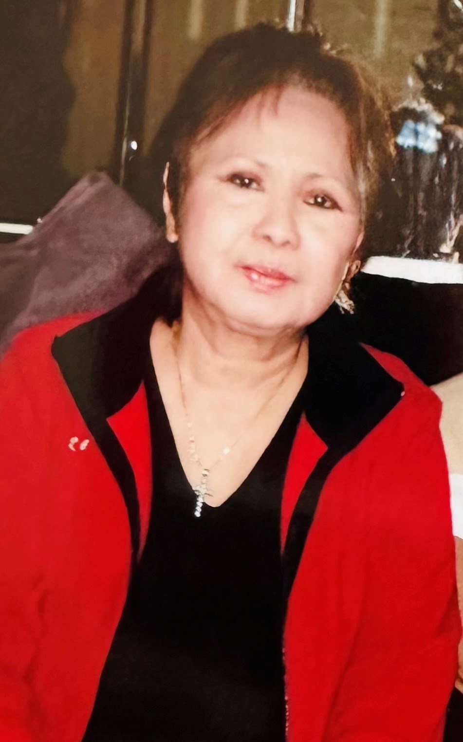 Ngoc Hornburg Obituary - San Jose, CA