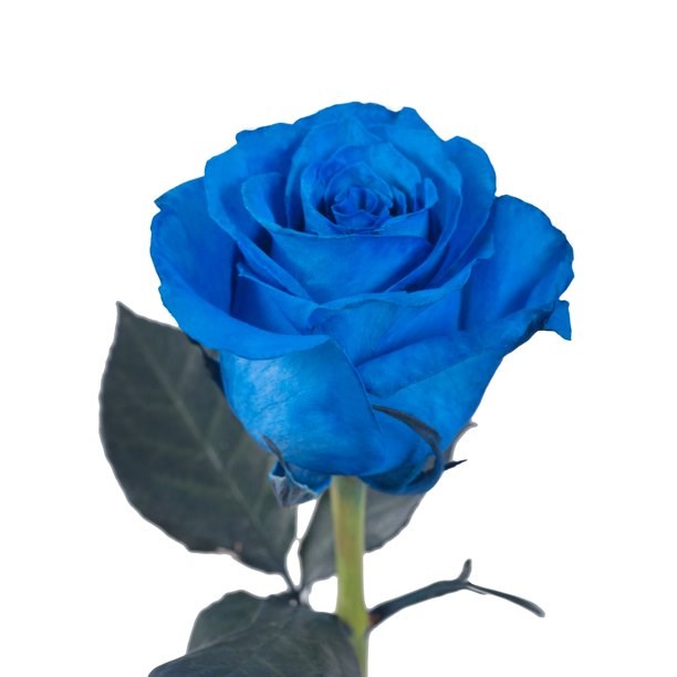 Joseph Nimmo Obituary - Yuma, AZ