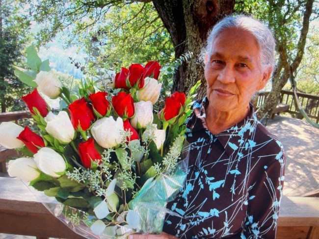 Rosa López Colón Obituario - Canovanas, PR
