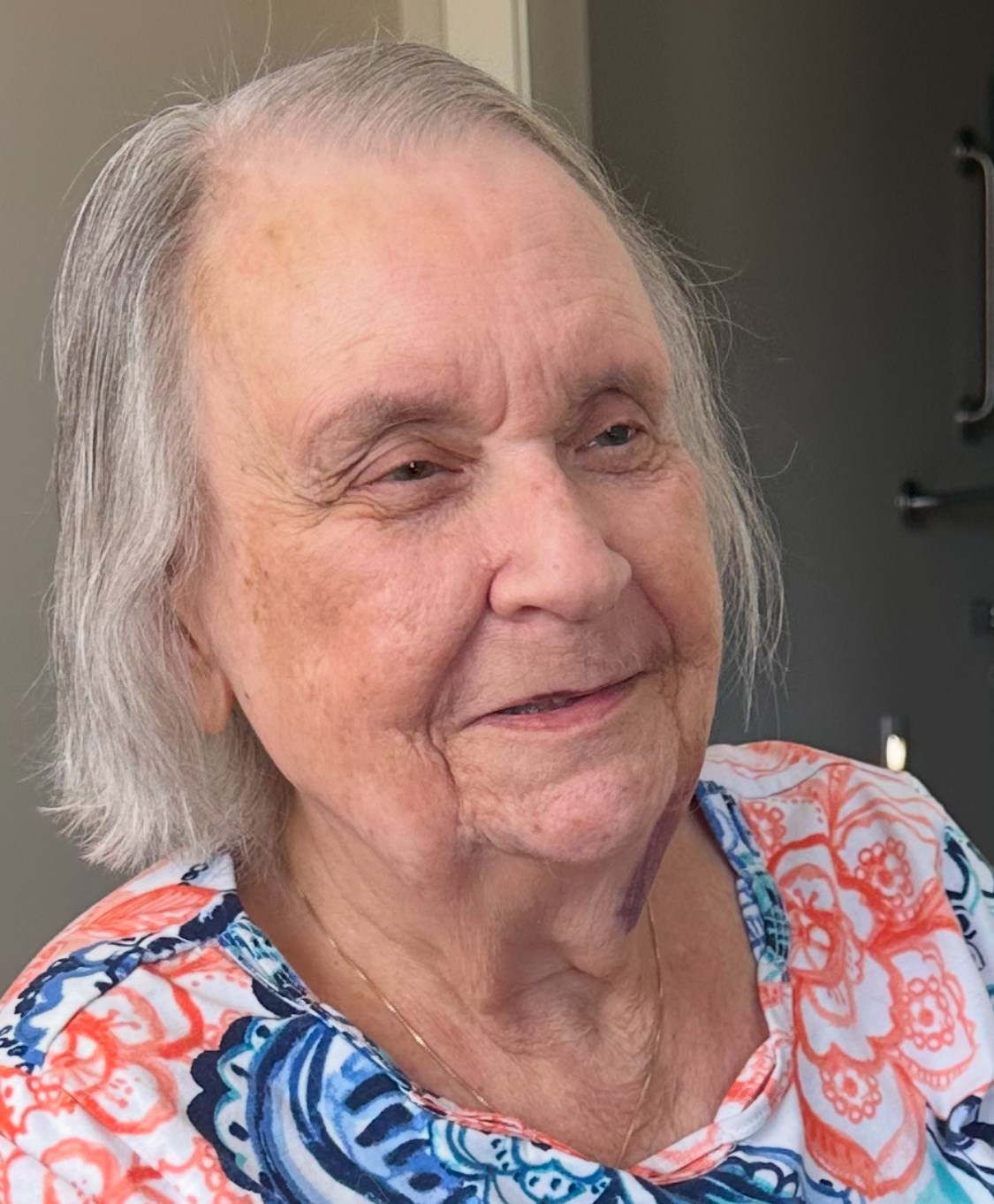 Nancy Meeks Obituary - Columbia, SC