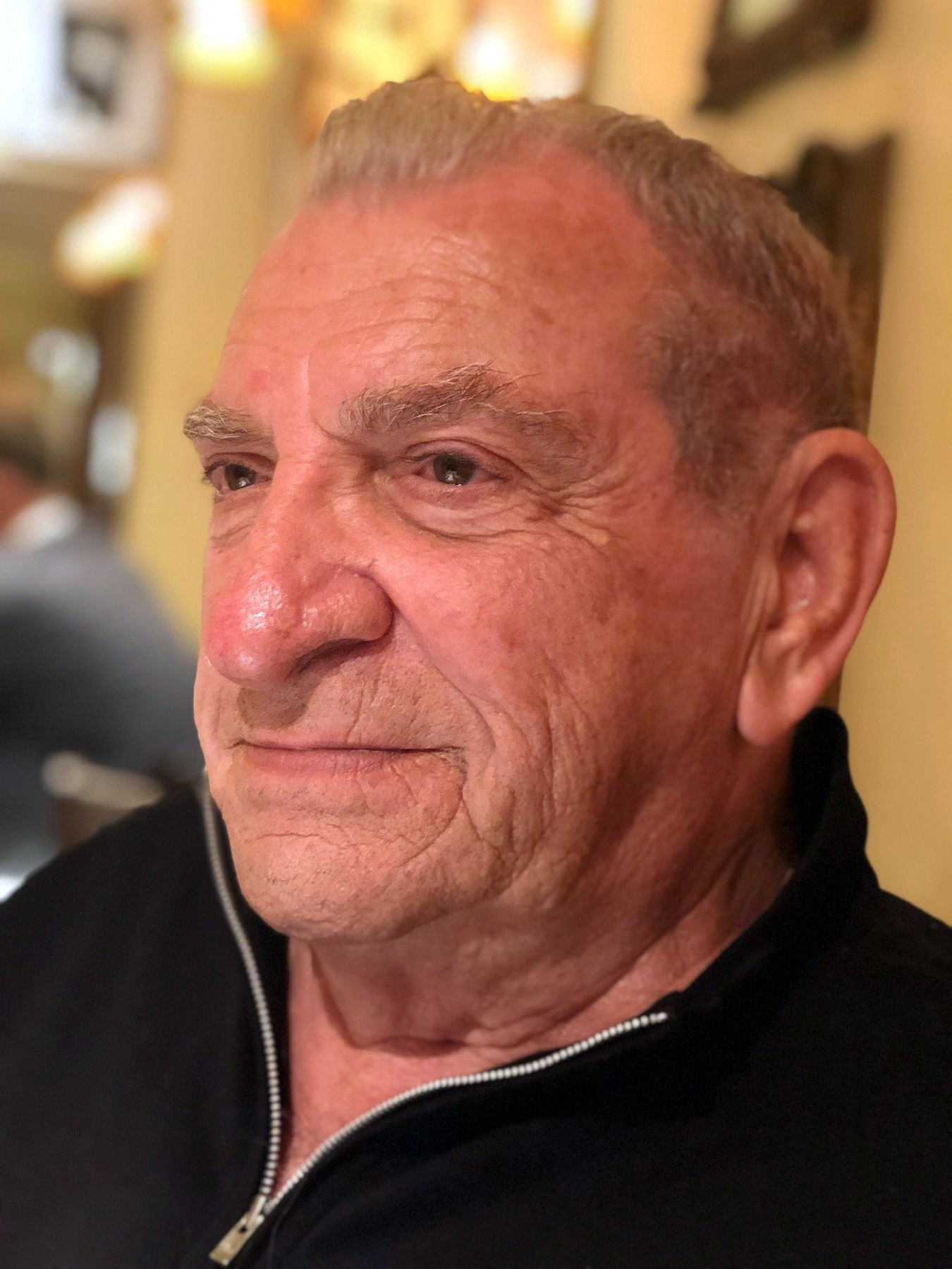 Richard Guidice Obituary - Arlington Heights, IL