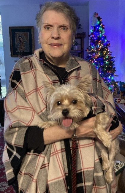 Susan Perez Obituary - Forest Park, IL