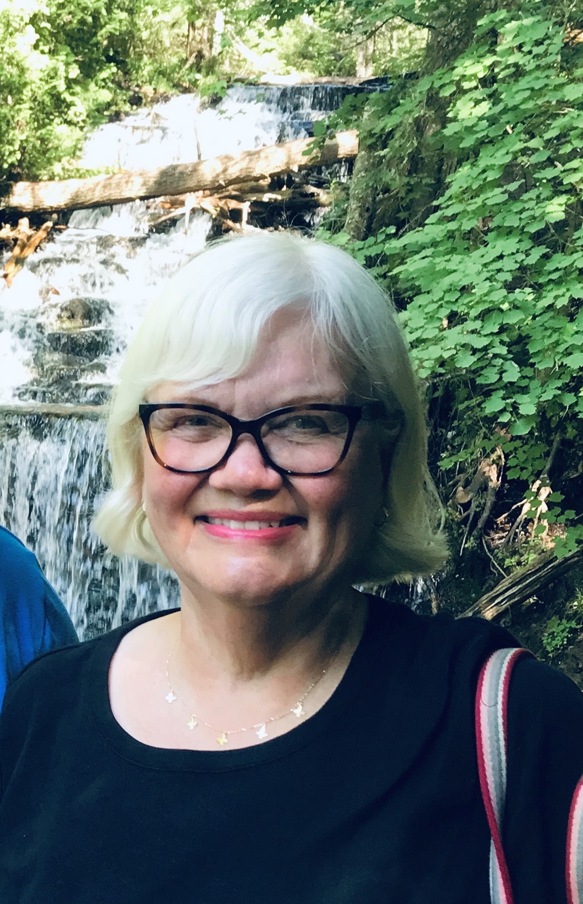 Diane Ward Obituary - Golden Valley, MN