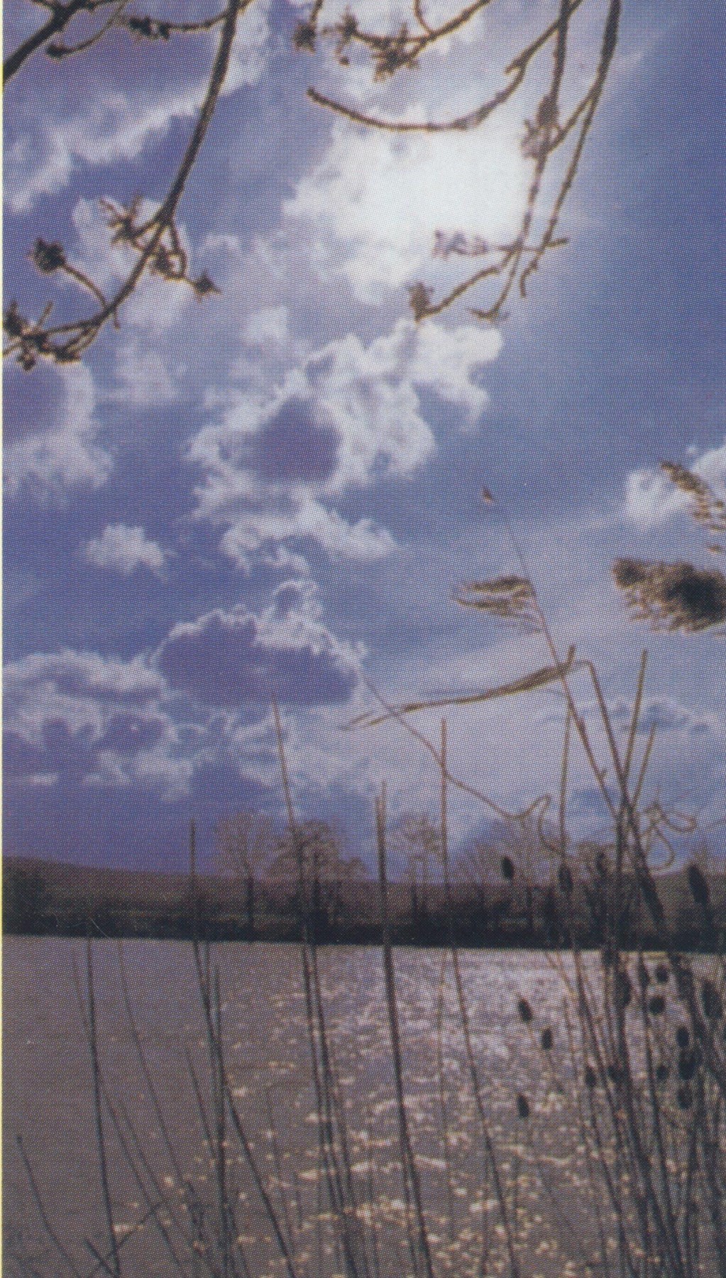 Donald Seay Obituary - Houston, TX