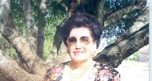 Virginia Castillo Obituary - Houston, TX