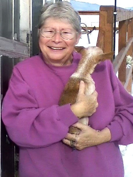 Sue Dunson Obituary - Henderson, NV