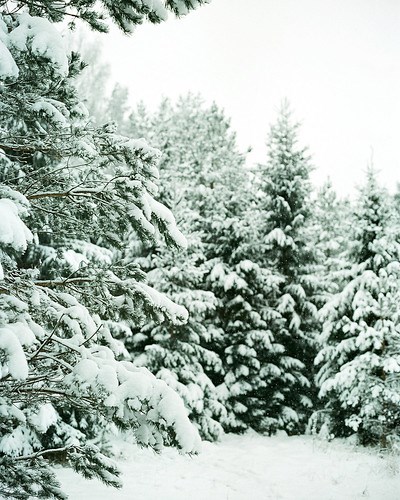 Wayne Sharp Obituary - Salem, OR