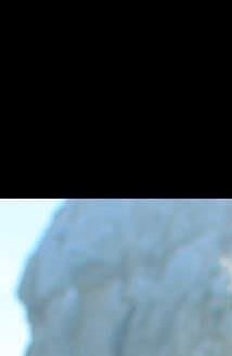 Julie Palumbo Obituario - Conroe, TX Julie Palumbo Obituario - Conroe, TX