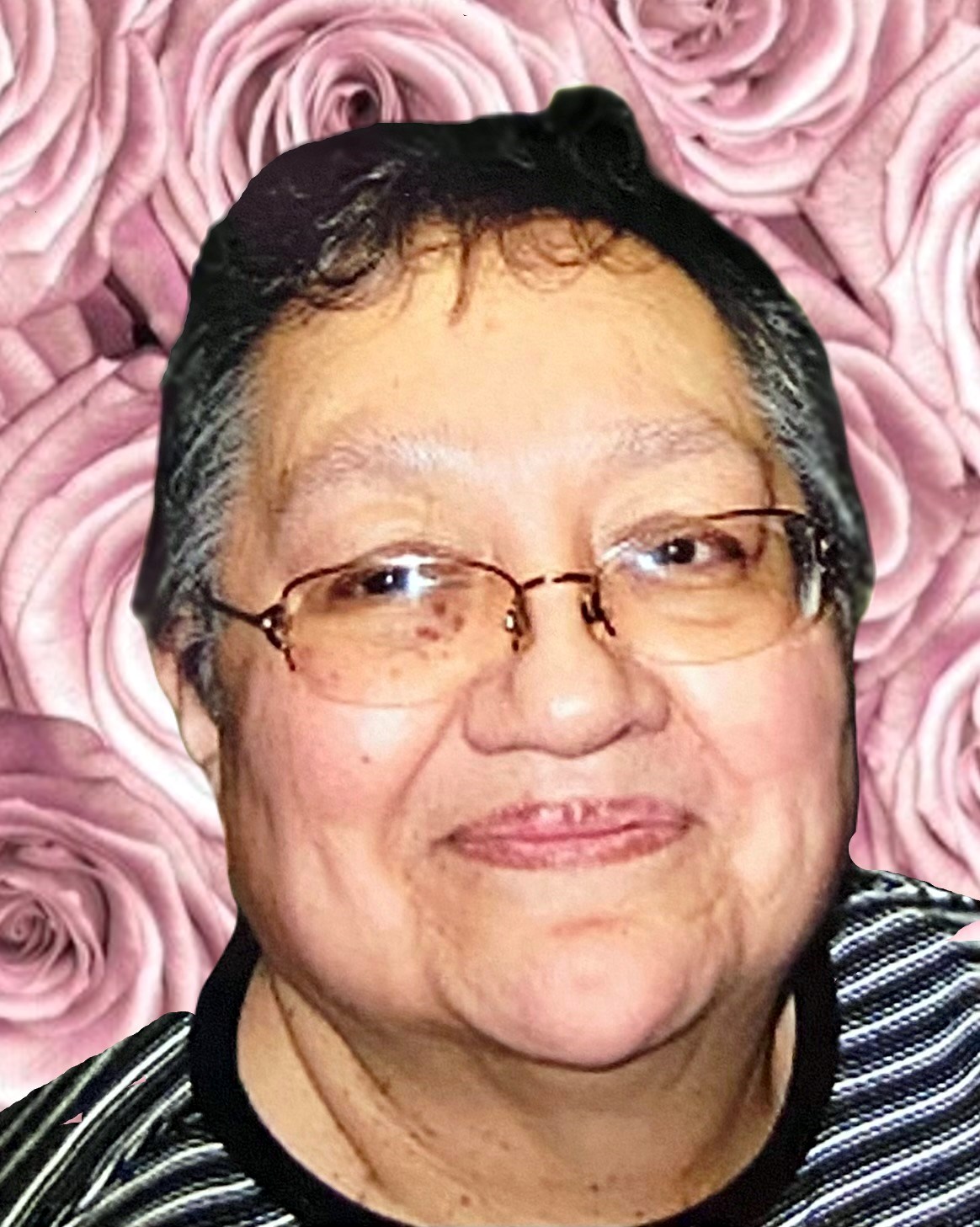 Rita Loza Obituary - Stickney, IL
