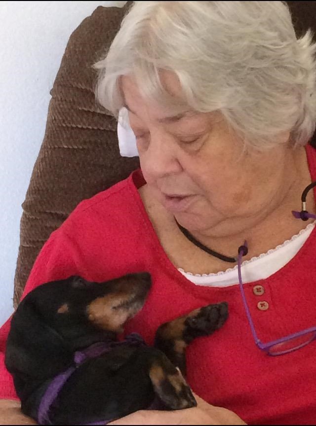 Dolores Fantin Obituary - Sarasota, FL