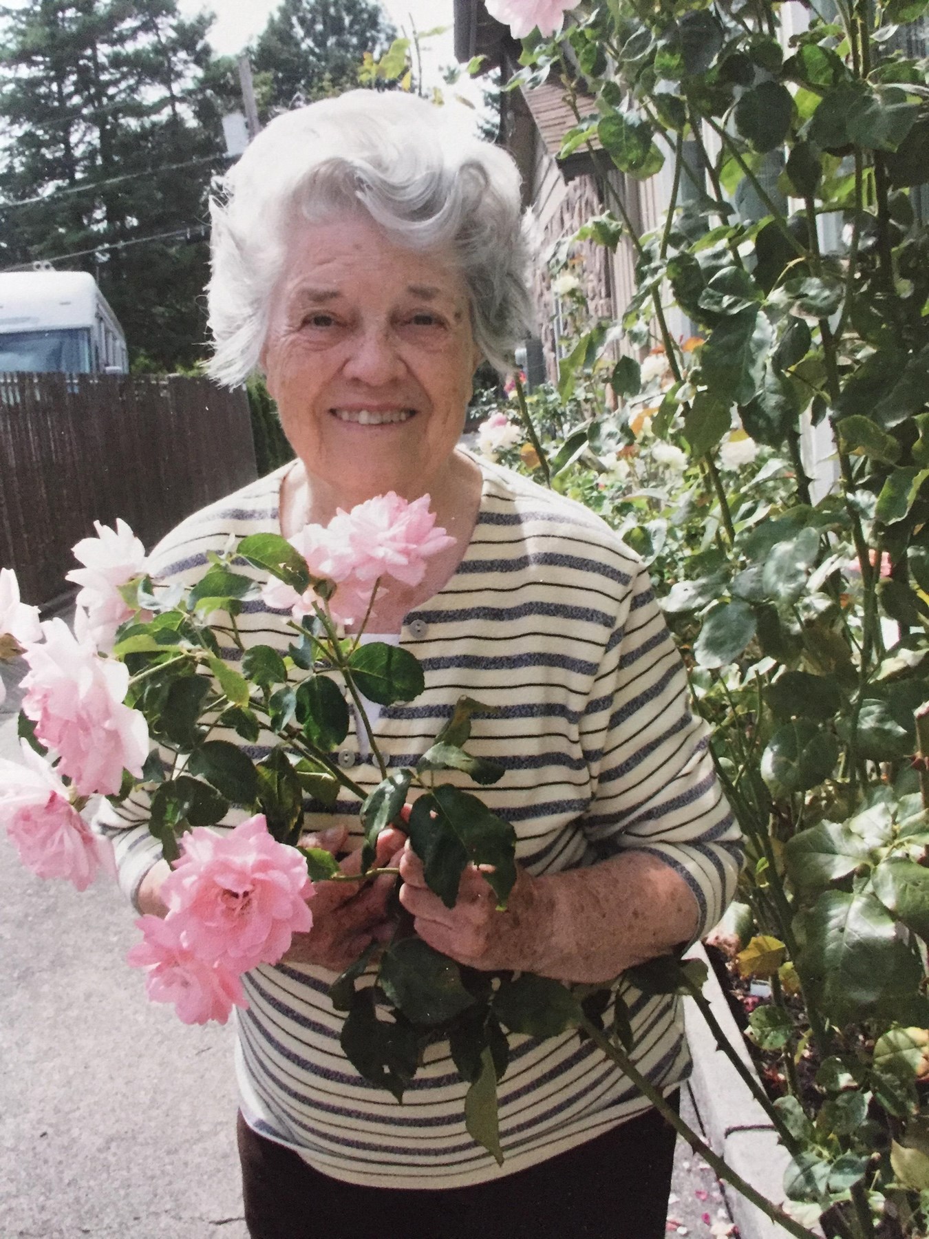 Lotte Elise Draper Obituary - Portland, OR