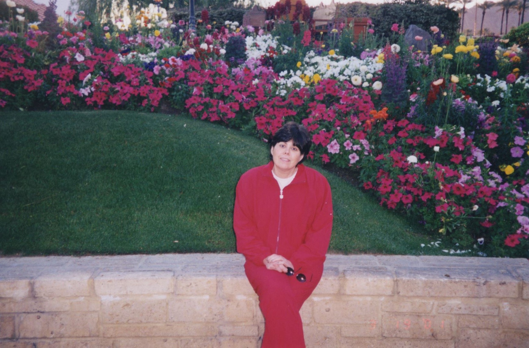 Patricia Quinlan Obituary - St. Louis, MO