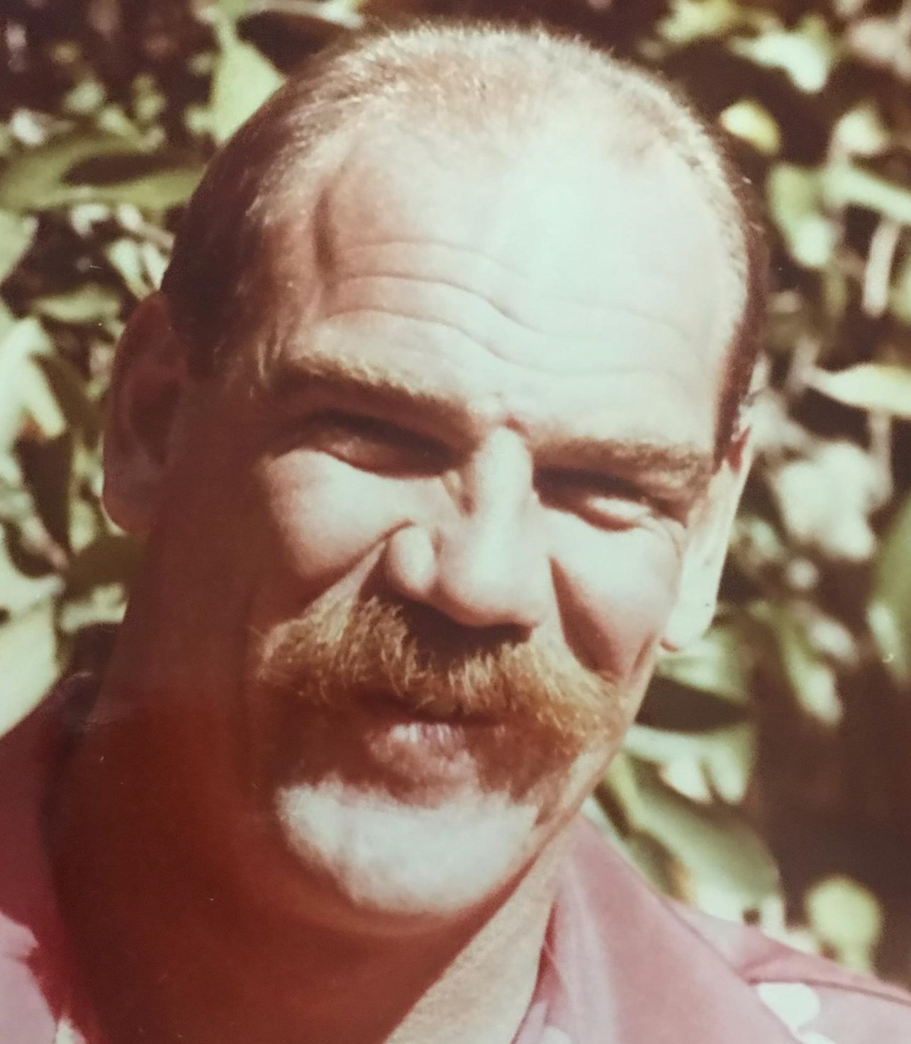 Michael Bloom Obituary - La Feria, TX