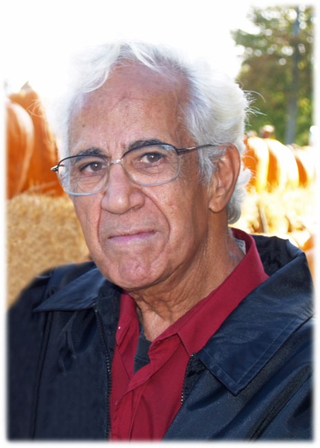 John Sant Obituary - Roseville, MI