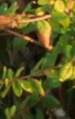 Eugene Joseph Wright Obituary - Houston, TX Eugene Joseph Wright Obituary - Houston, TX