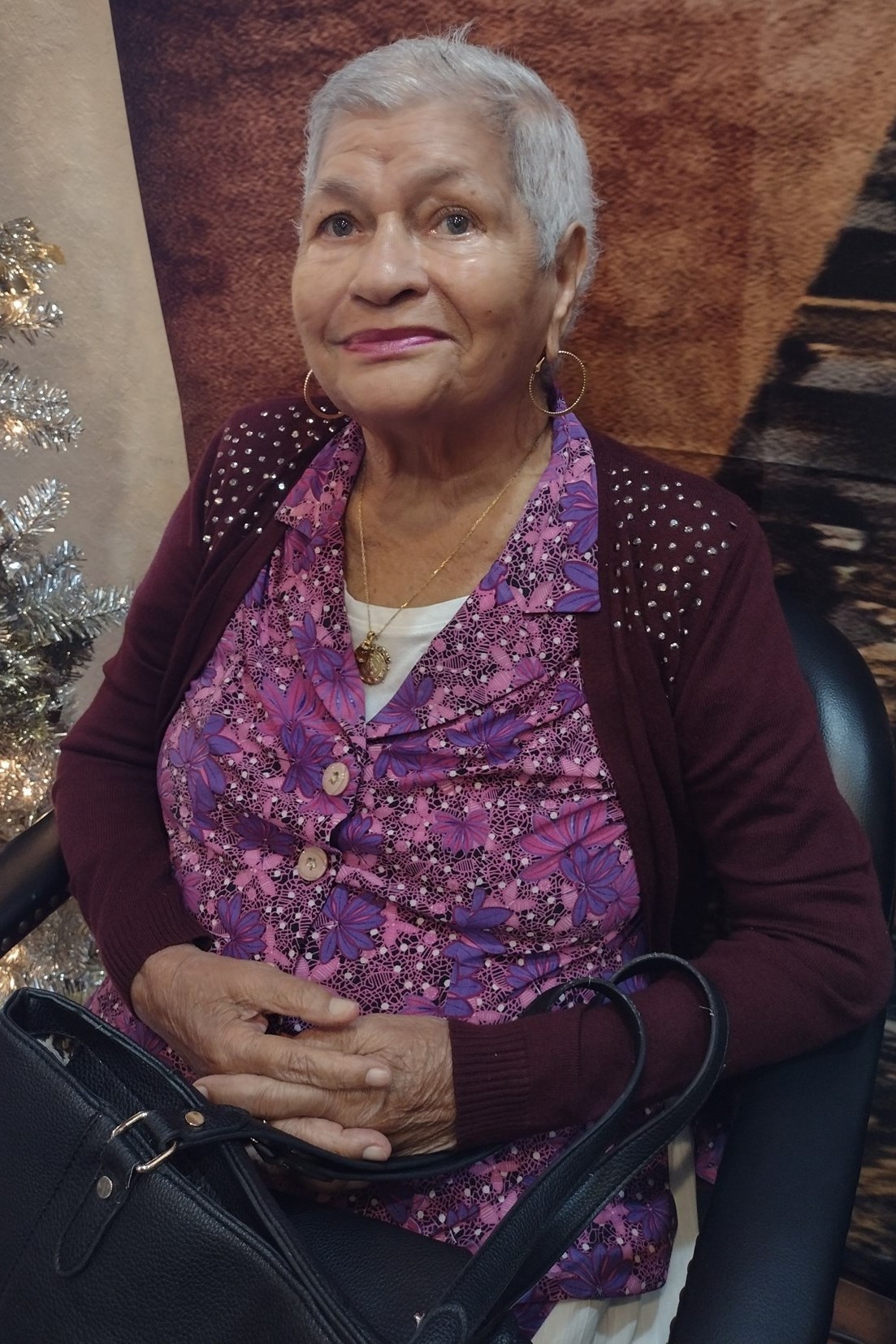 Josefa Rodriguez Obituary - Winter Haven, FL