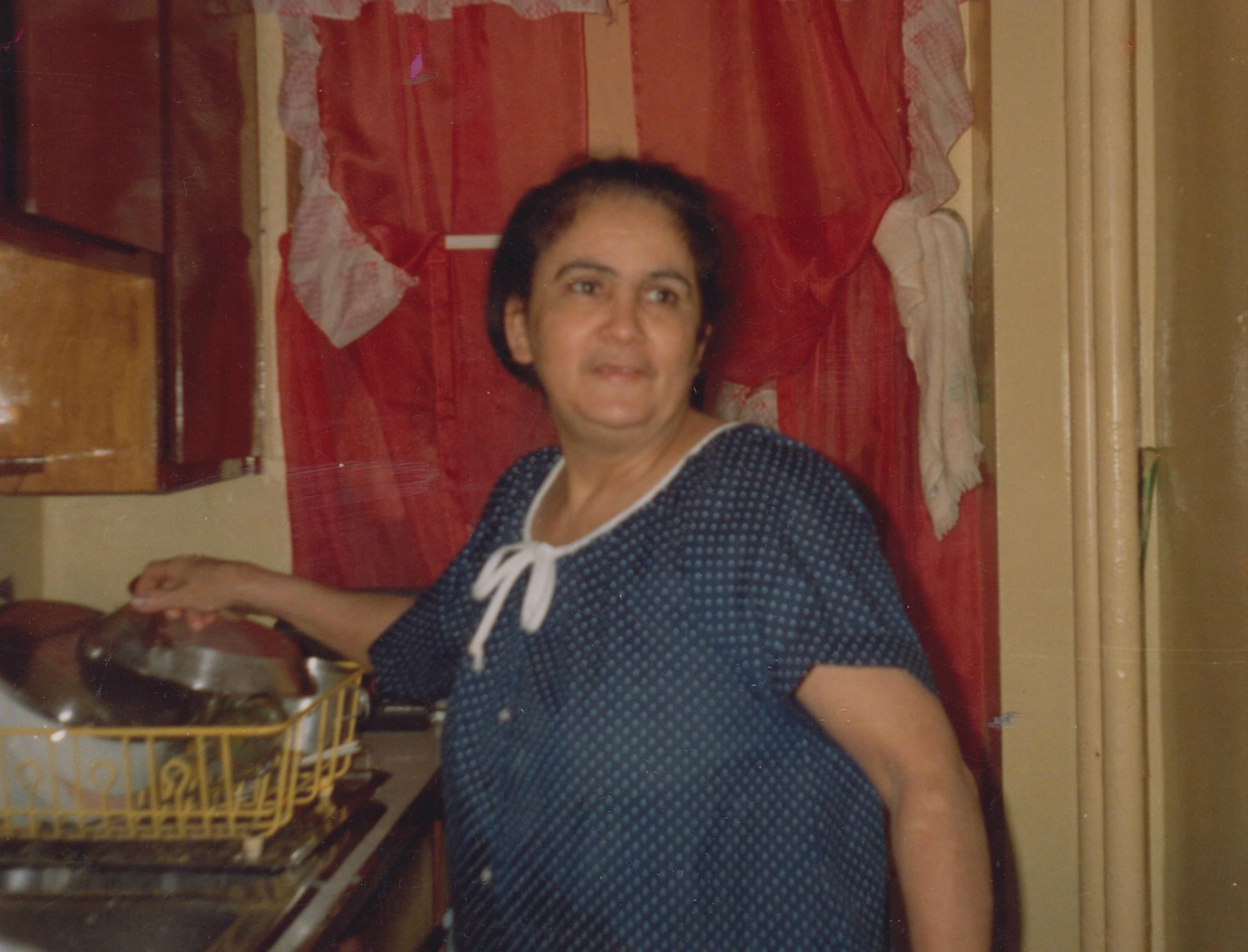 Maria J. Rodriguez Obituary - Tampa, FL