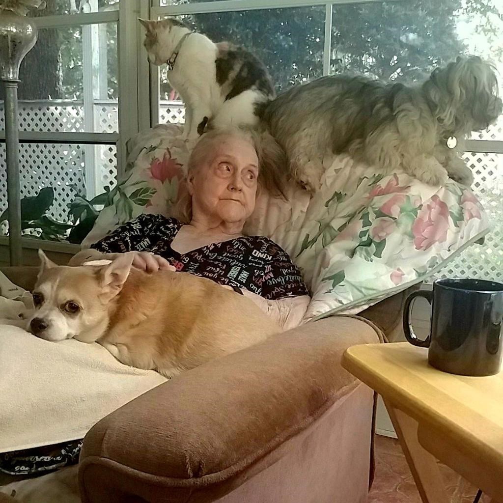 Alice Pearl Carter Obituary - Brandon, FL