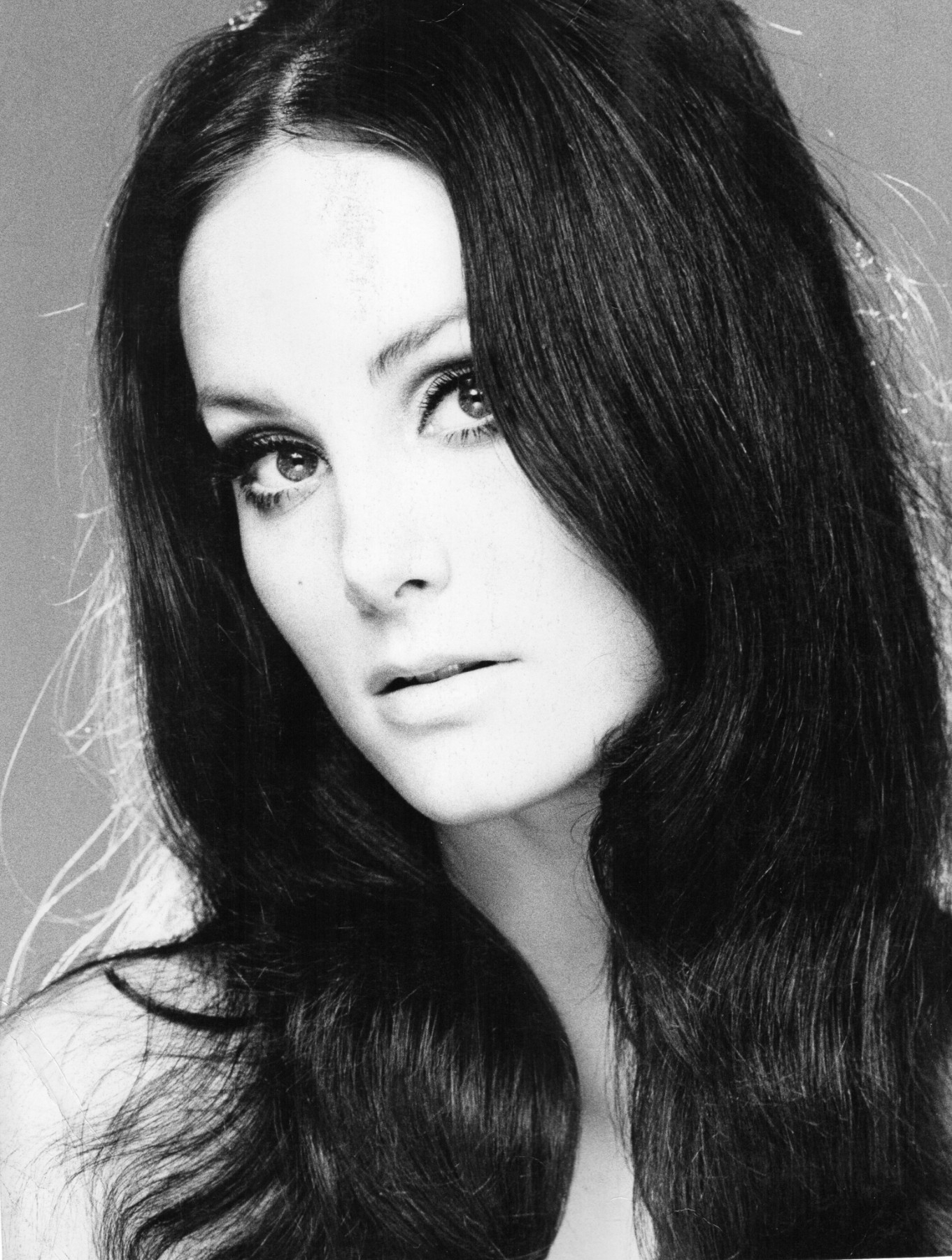 Nancy Mccormick's Instagram, Twitter & Facebook on IDCrawl