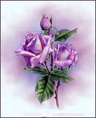 Anna Martin Obituary - Austin, TX