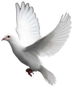 Maria Zavala Obituary - Brownsville, TX