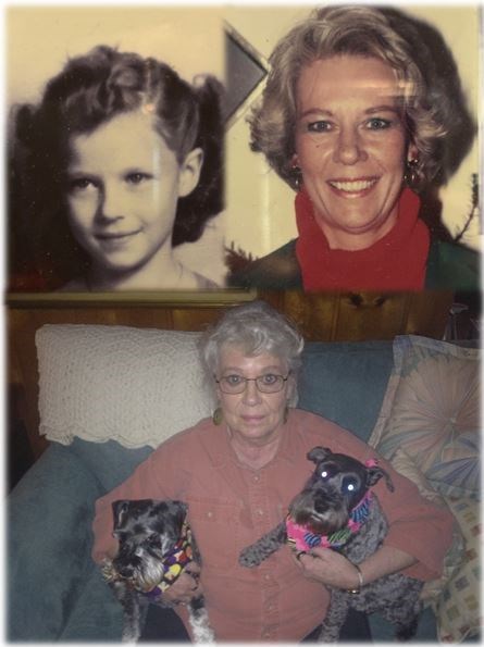 Janet Cochrane Obituary - Ann Arbor, MI