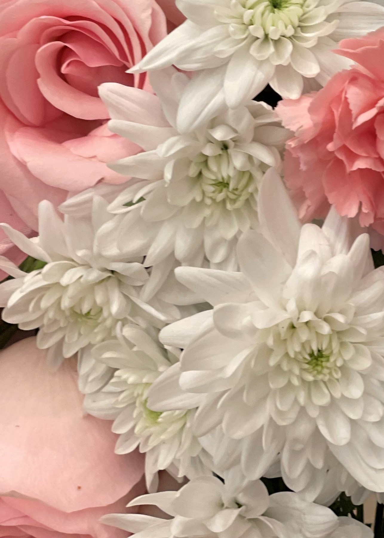 Timothy Beauchamp Obituary - Vancouver, BC