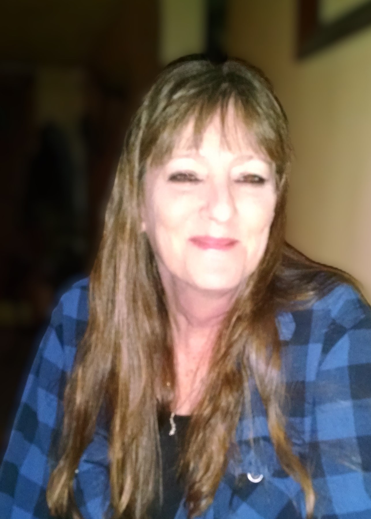 Susan Davidson Obituary - Mansfield, OH