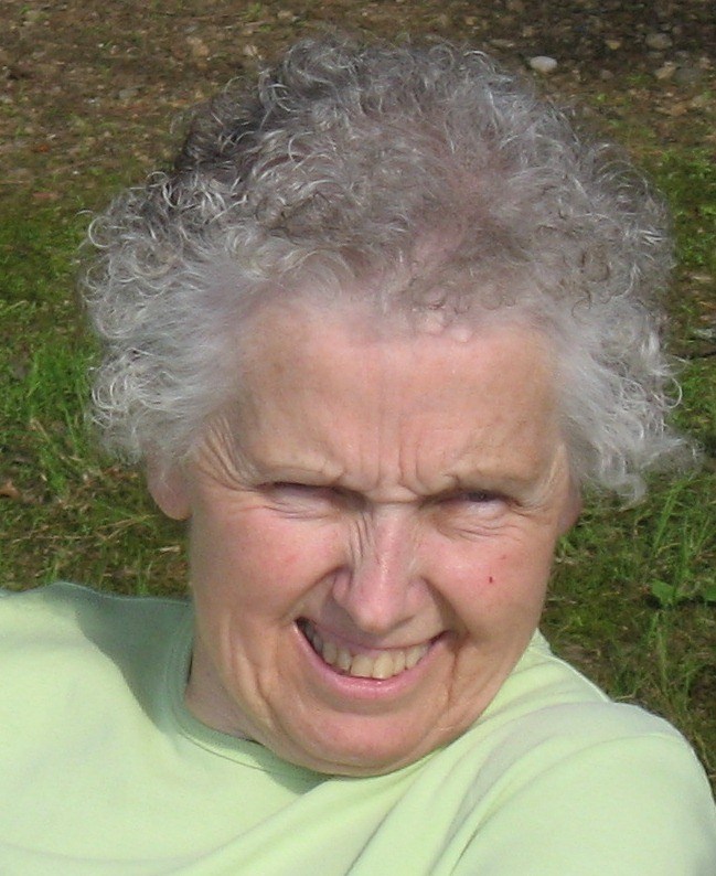 Susan Hoy Obituary - Swansea, MA