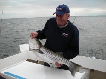 H. G. Garcelon Obituary - Timonium, MD