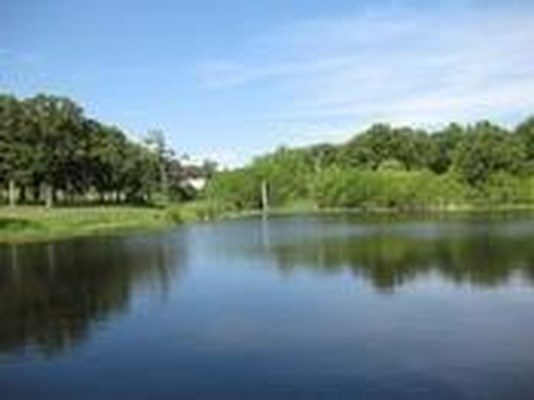Barbara Marsters Obituary - Georgetown, TX