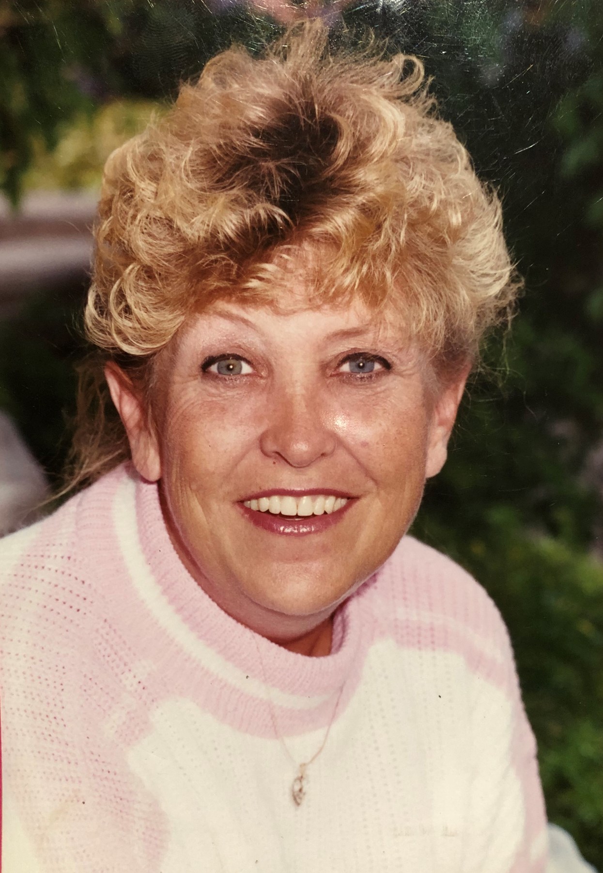 Mary Cook's Instagram, Twitter & Facebook on IDCrawl